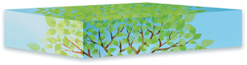 Career Tree - TFS Results