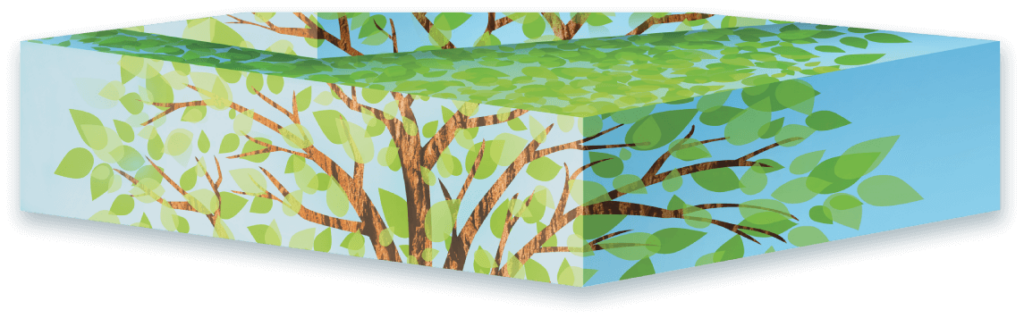 Career Tree - TFS Results