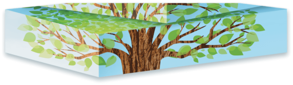 Career Tree - TFS Results