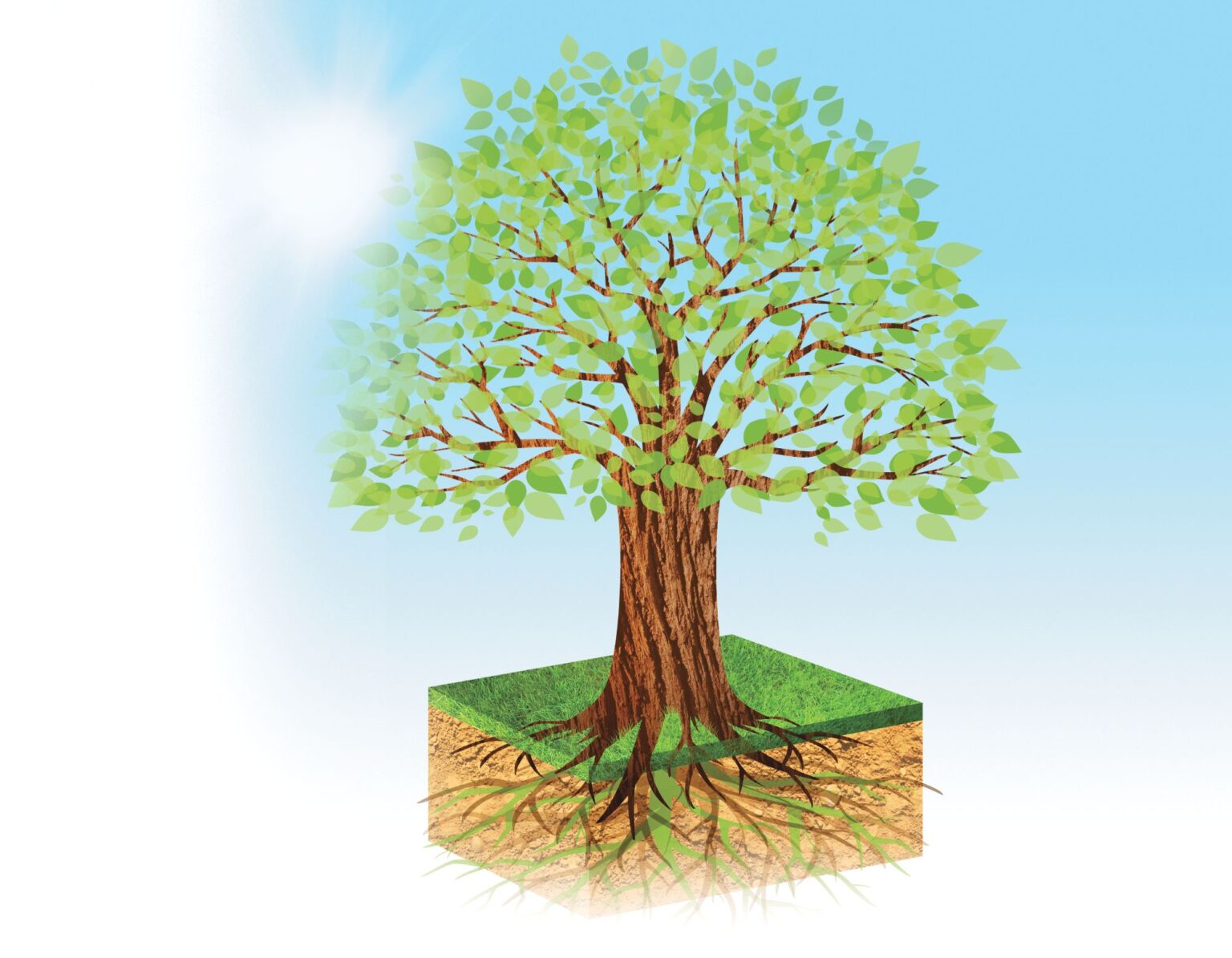 Career Tree - TFS Results